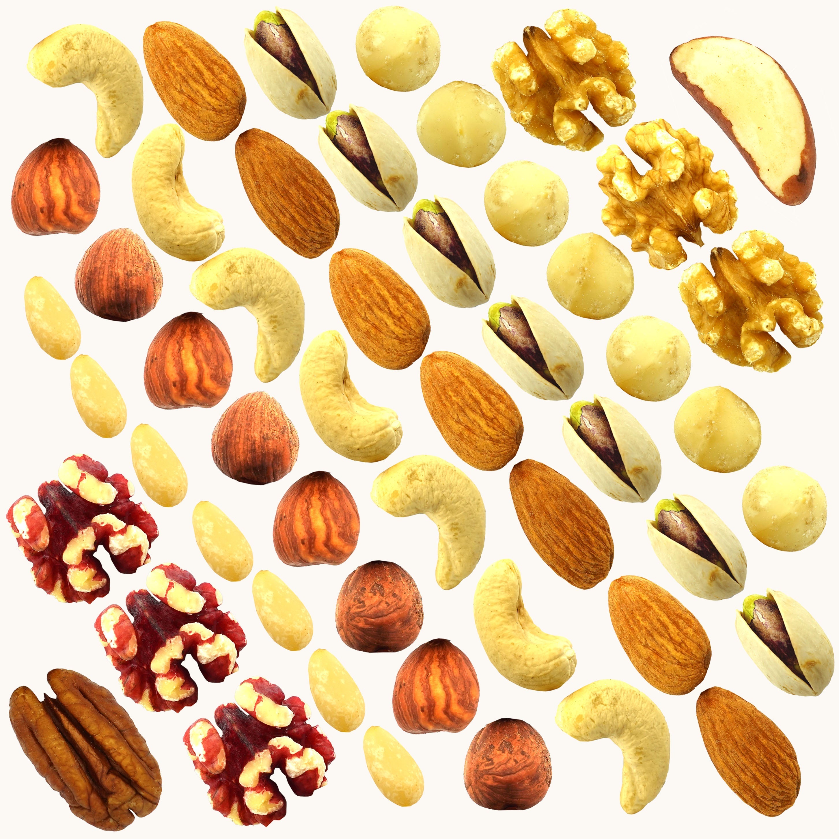Raw Nuts – The Nut Hut LLC