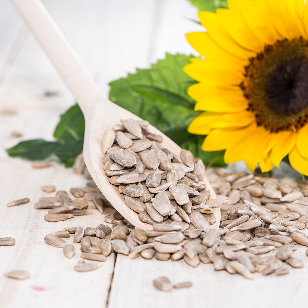 Roasted & Flavored Seeds – The Nut Hut LLC