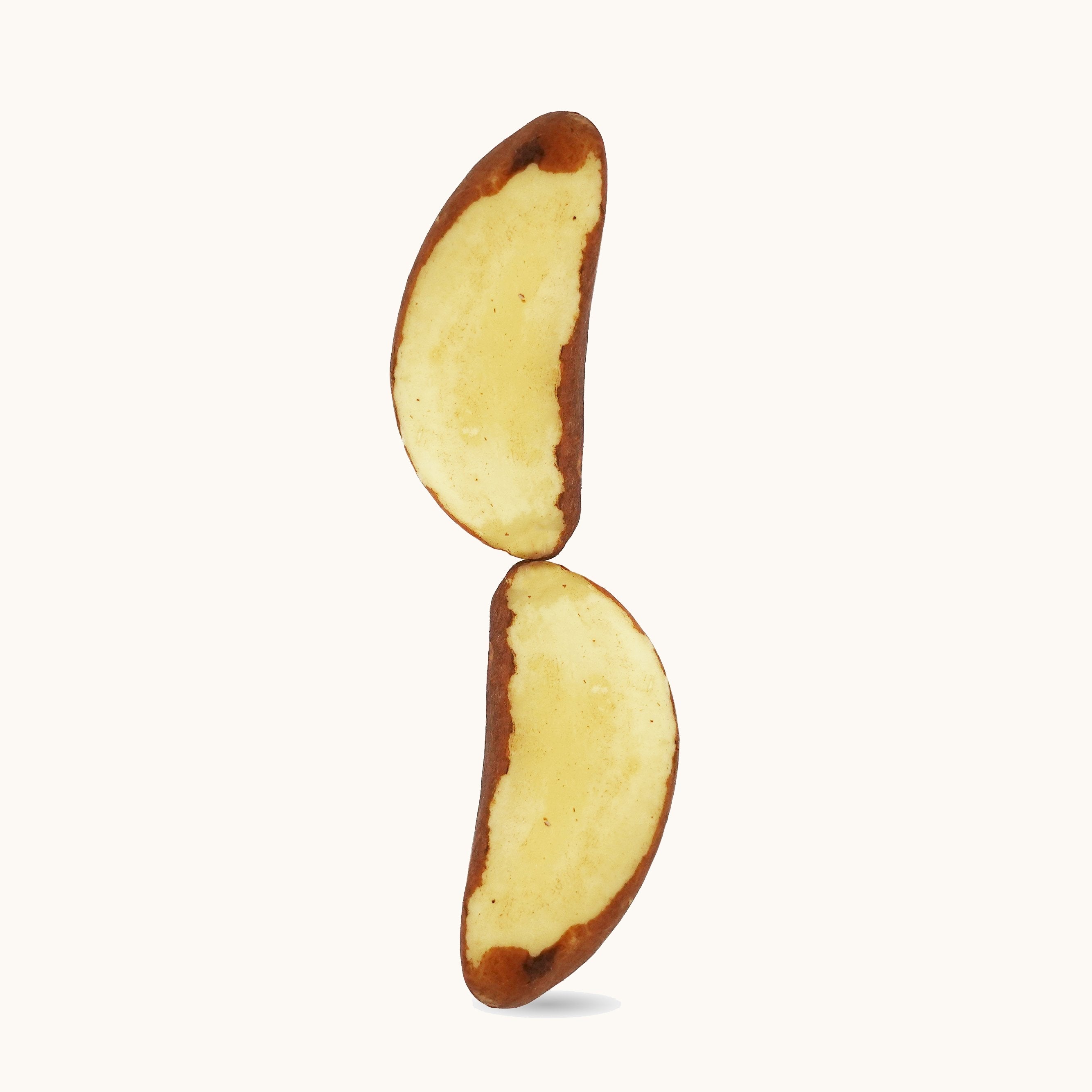 Organic Raw Brazil Nuts – The Nut Hut LLC